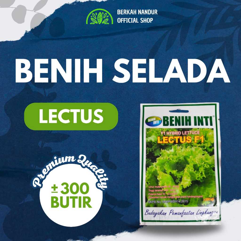 Jual Benih Selada Hijau Lectus Lettuce Small Pack Urban Farming ...
