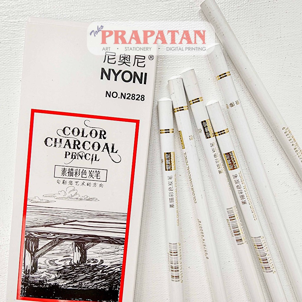 Jual Nyoni White Charcoal Pencil N2828 | Pensil Arang Putih | Shopee Indonesia