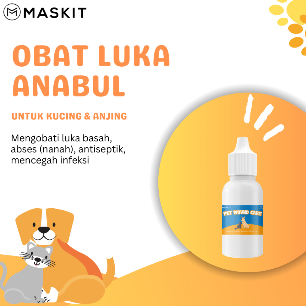 Jual Obat Luka Luar Luka Lebar Kucing dan Abses Nanah pada Kulit Anabul ...