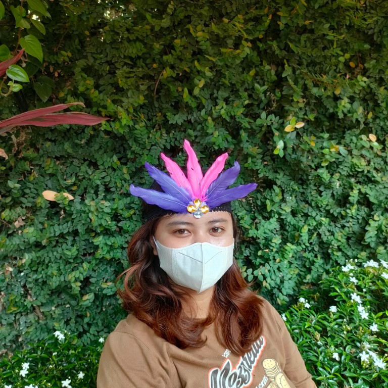 Jual Bando Hiasan Kepala Bulu Angsa untuk Tari dan Karnaval, Bandana ...