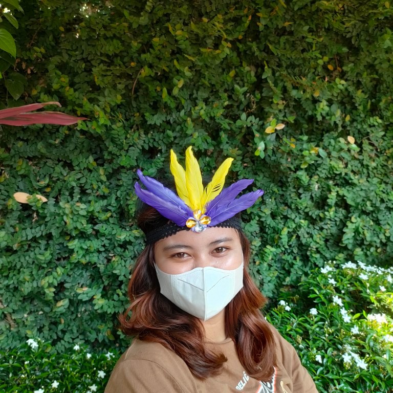 Jual Bando Hiasan Kepala Bulu Angsa untuk Tari dan Karnaval, Bandana ...