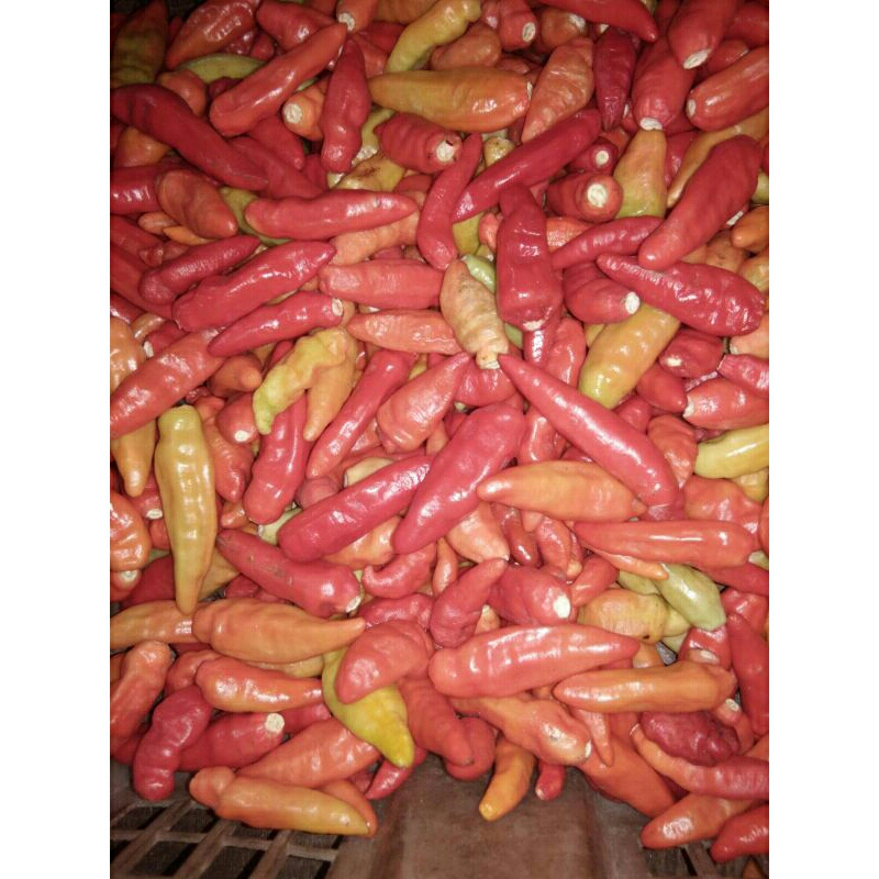 Jual cabe rawit merah segar petik 500 g | Shopee Indonesia