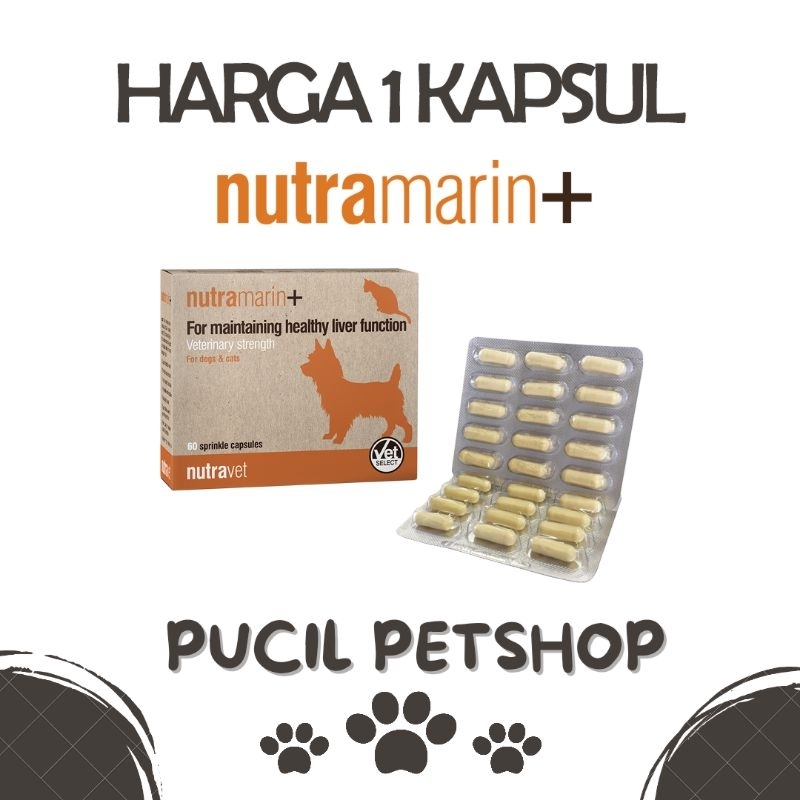 Jual Nutramarin Plus Suplemen Gangguan Liver Kucing Anjing Gangguan ...