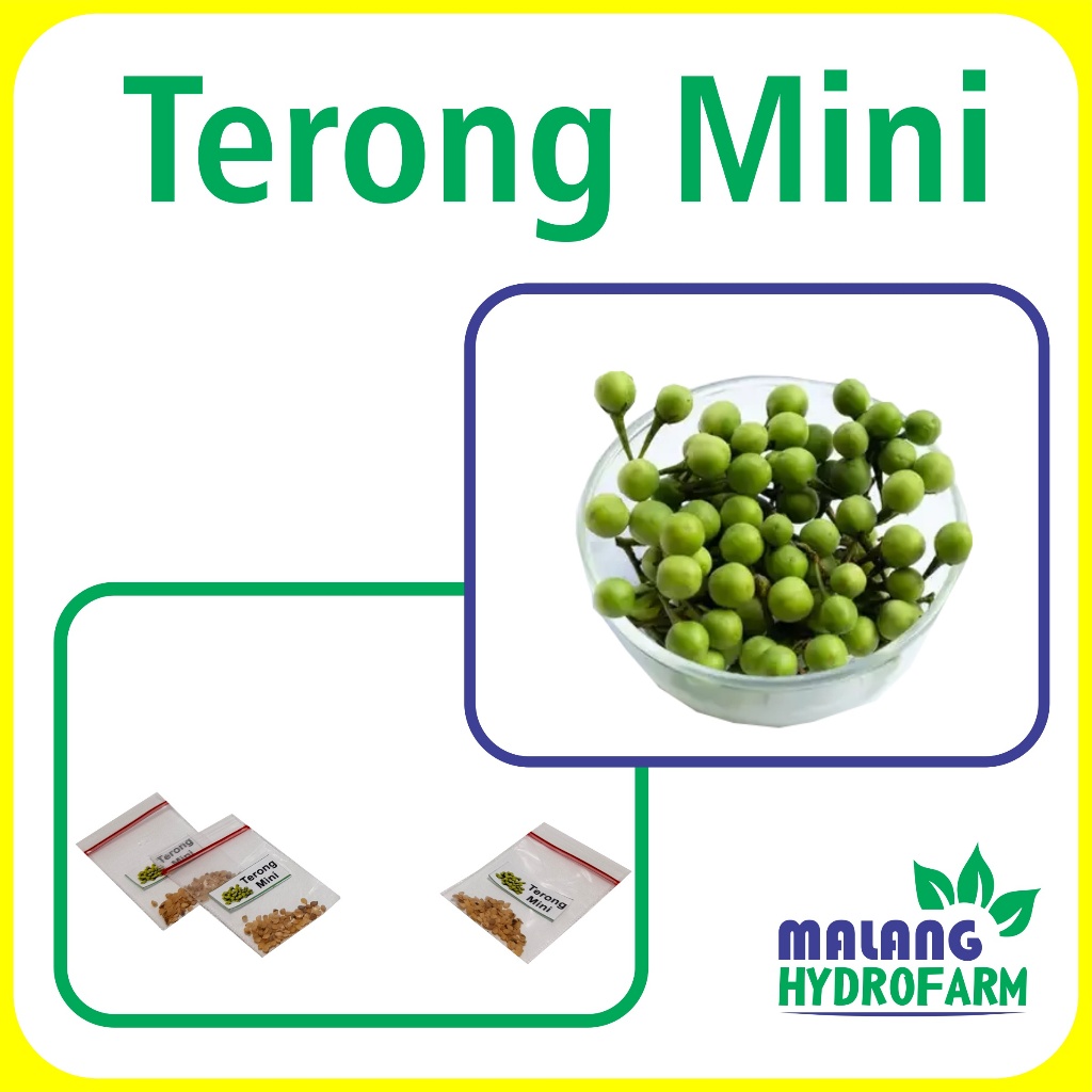 Jual Benih Terong Mini Unggulan Berkualitas biji bibit repack sayuran ...