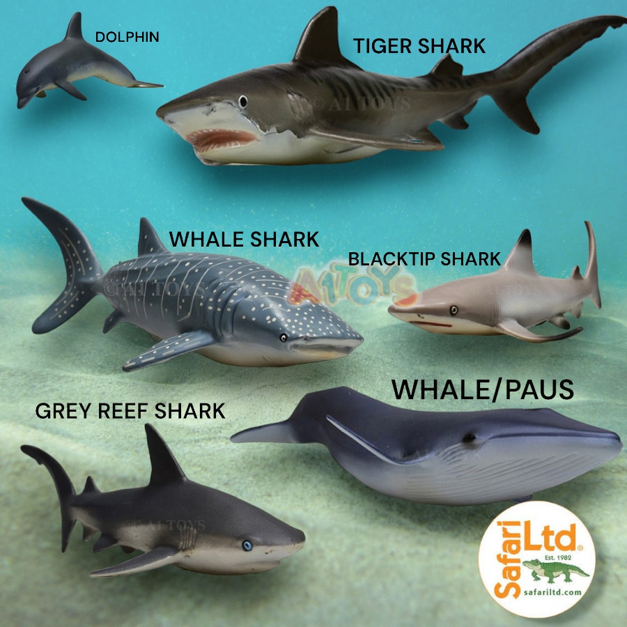 Jual Mainan ikan ikanan miniatur ikan Dolphin ikan hiu ikan paus whale ...