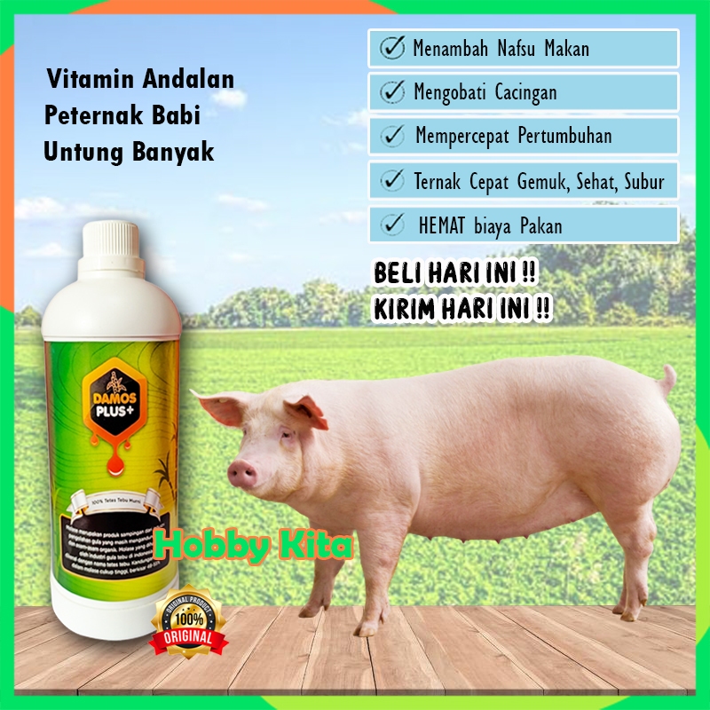 Jual Vitamin babi mempercepat besar DAMOS PLUS vitamin babi nafsu makan ...