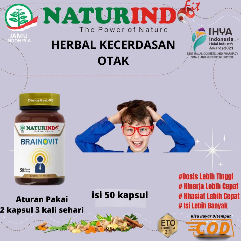 Jual Vitamin Otak Nutrisi Otak Obat Herbal Meningkatkan Daya Ingat Otak ...