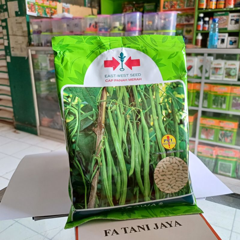 Jual Benih Buncis Logawa Cap Panah Merah | Shopee Indonesia