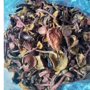 Jual kulat jamur pelawan 100gr | Shopee Indonesia