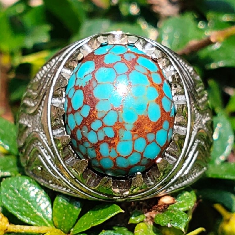 Jual NATURAL PIRUS MESIR URAT MERAH GRADE A Real Pict | Shopee Indonesia