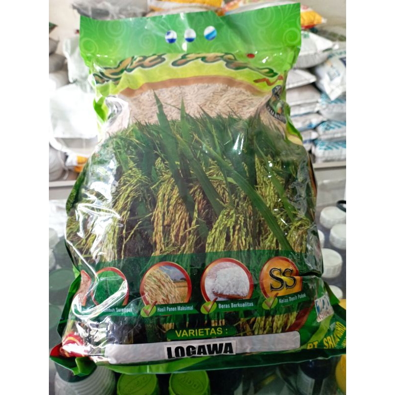 Jual benih padi logawa sri ayu@5kg exp jan 2024 | Shopee Indonesia
