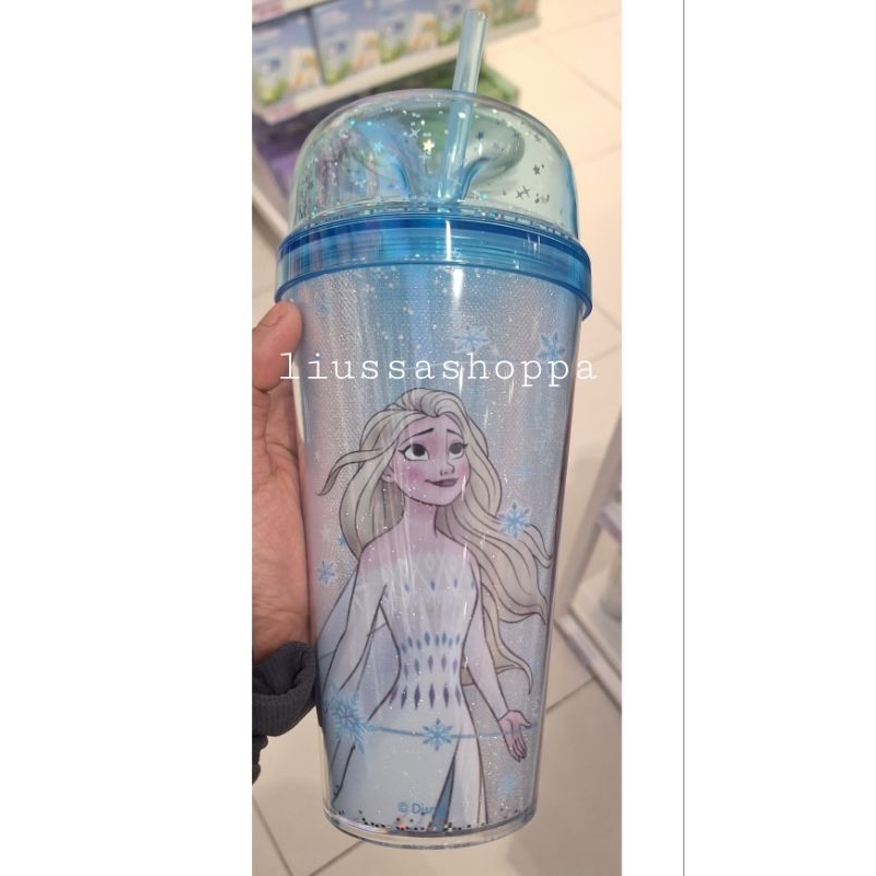 Jual Tumbler Miniso - Disney Frozen Collection 2.0 Double Wall Tumbler ...