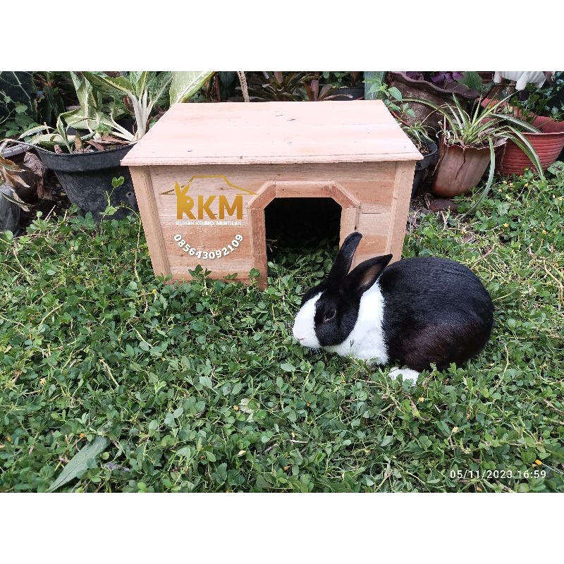 Jual RUMAH KELINCI (Rabbit, Cavy & CaT House) | Shopee Indonesia