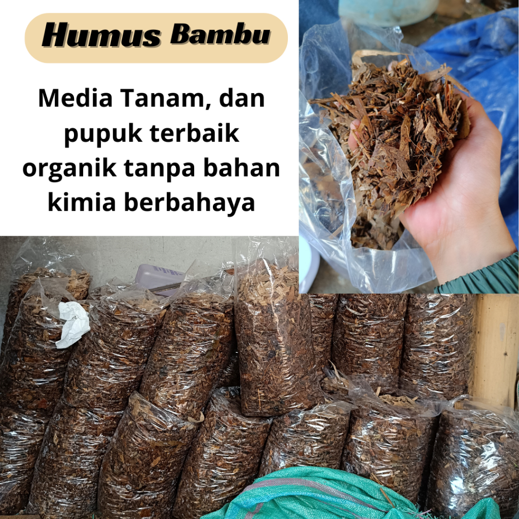 Jual Pupuk Kompos Media Tanam Organik Humus Bambu Fermentasi Tanpa ...