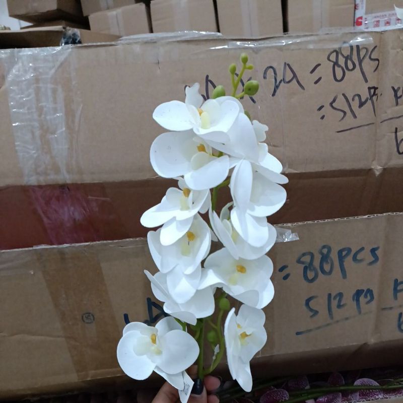 Jual ANGGREK NEW CABANG 3 VAS LABU GOLD | Shopee Indonesia