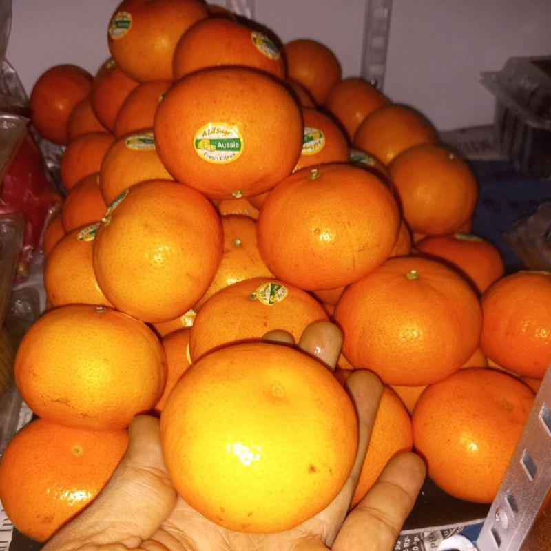 Jual 1KG Jeruk Citrus // Jeruk A Lil Sugar Aussie Fresh ( full manis ...
