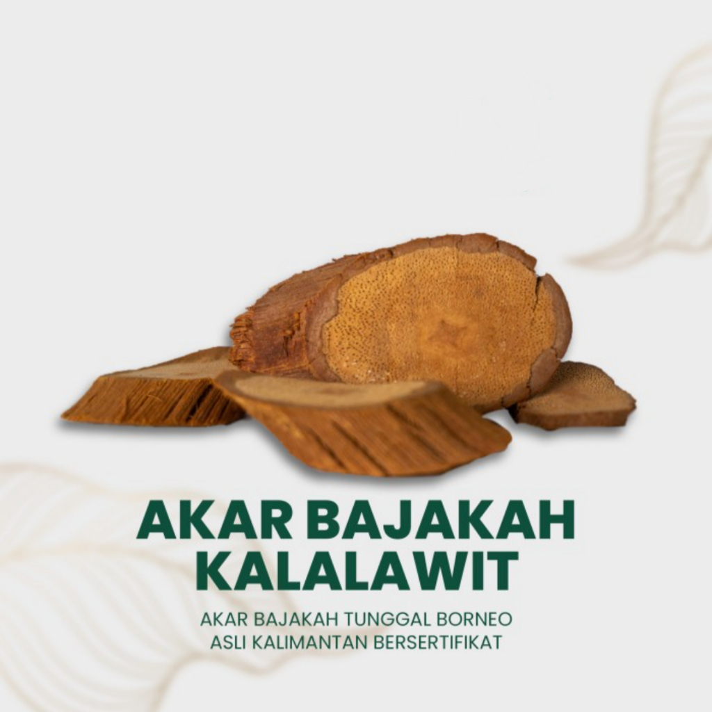 Jual Akar Kayu Bajakah Tunggal kalimantan 100 gram | Shopee Indonesia