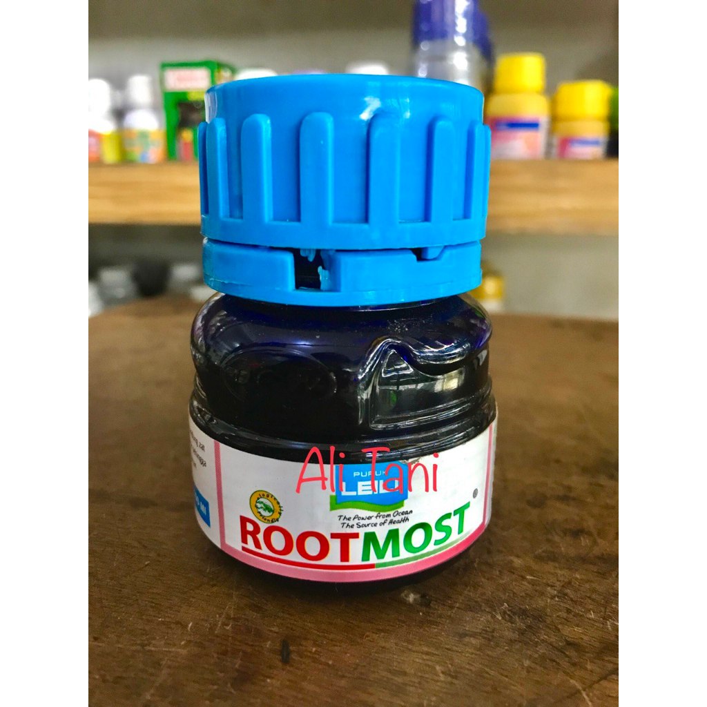 Jual ROOTMOST Kemasan 100 ML Perangsang Pertumbuhan Akar Perendaman Benih | Shopee Indonesia