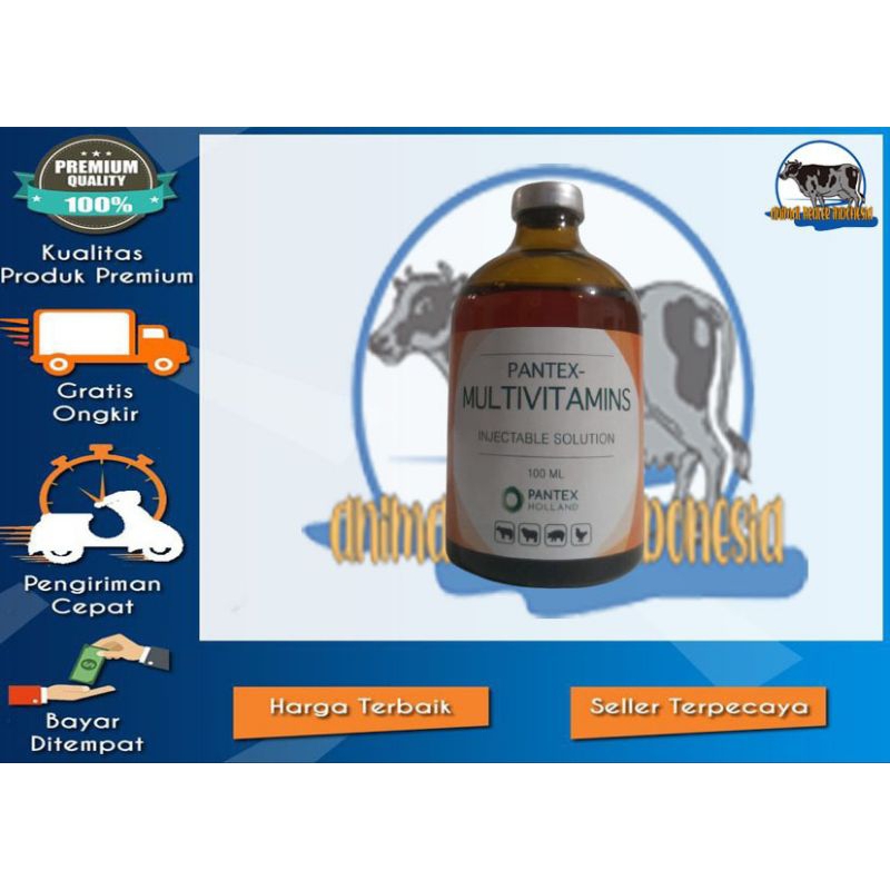 Jual Pantex Multivitamin 100 ml-Multivitamin Pantex-Multivitamin injek ...