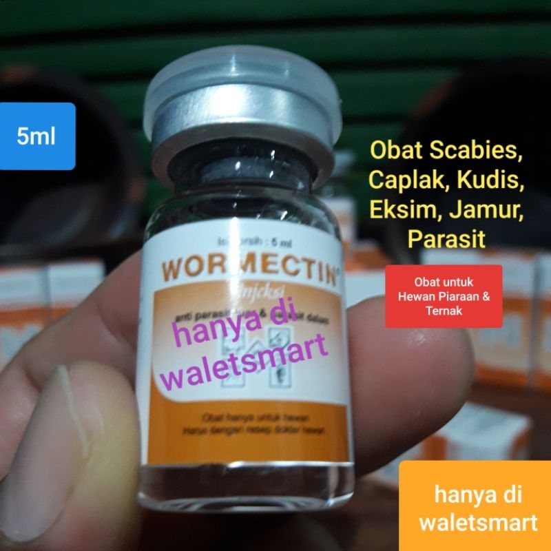 Jual WORMECTIN 5ml obat jamur parasit cacing scabies kudis caplak pada ...
