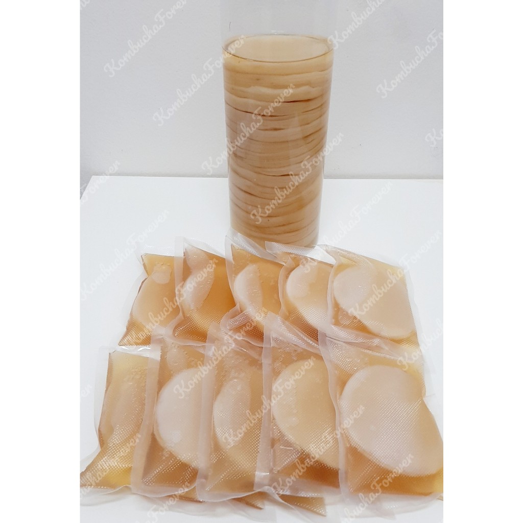 Jual Bibit Scoby Jamur Kombucha D 8,5-9 cm Tebal 2-3 cm Premium Organik ...