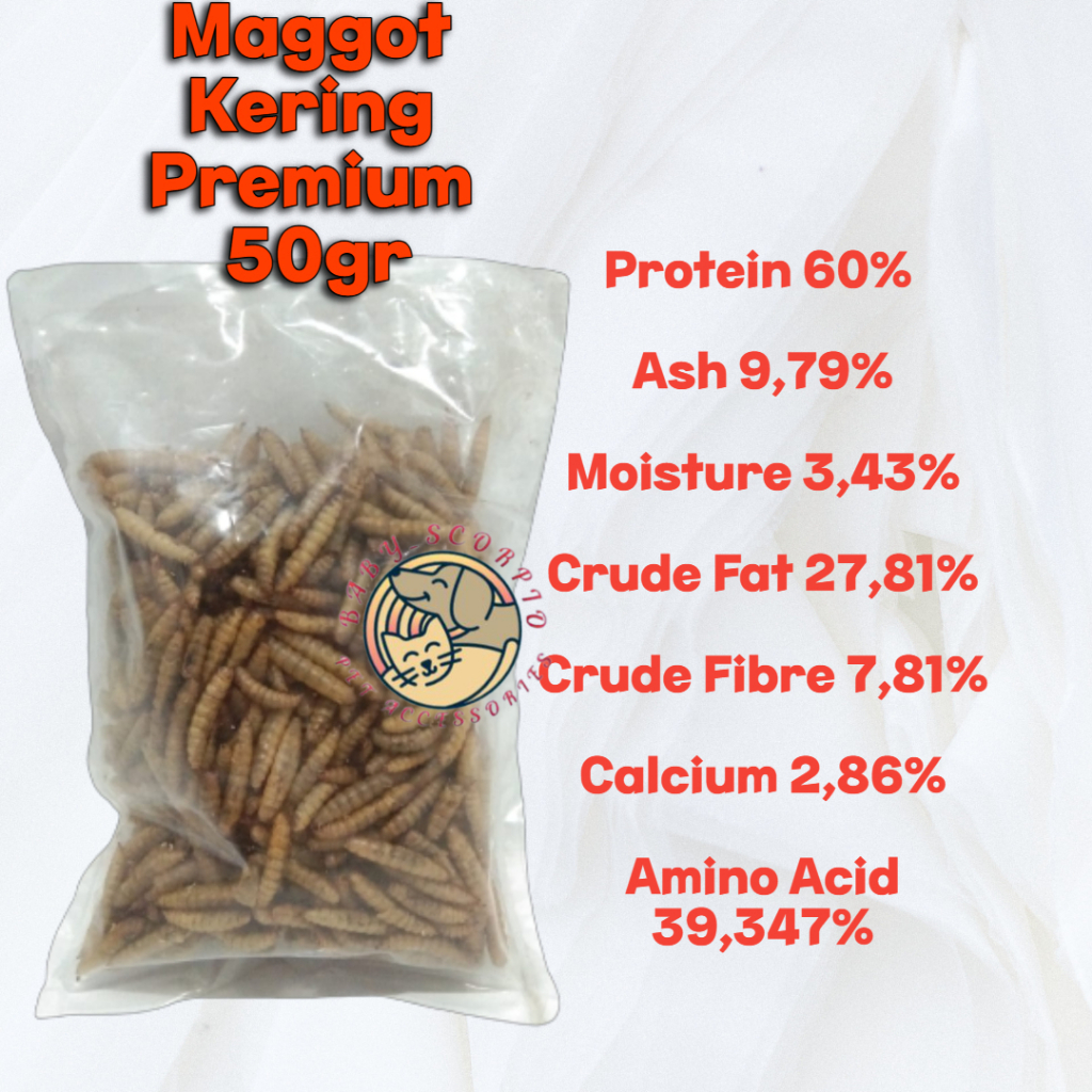 Jual Pakan Ikan Maggot kering 50gram berkualitas pelet koi Channa Barca ...