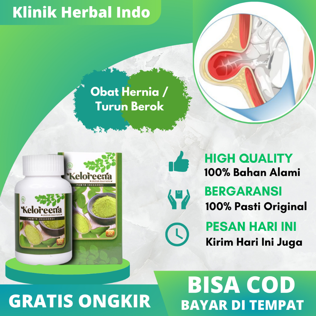 Jual Obat Hernia Turun Berok Testis Bengkak Varikokel Hidrokel Turun ...