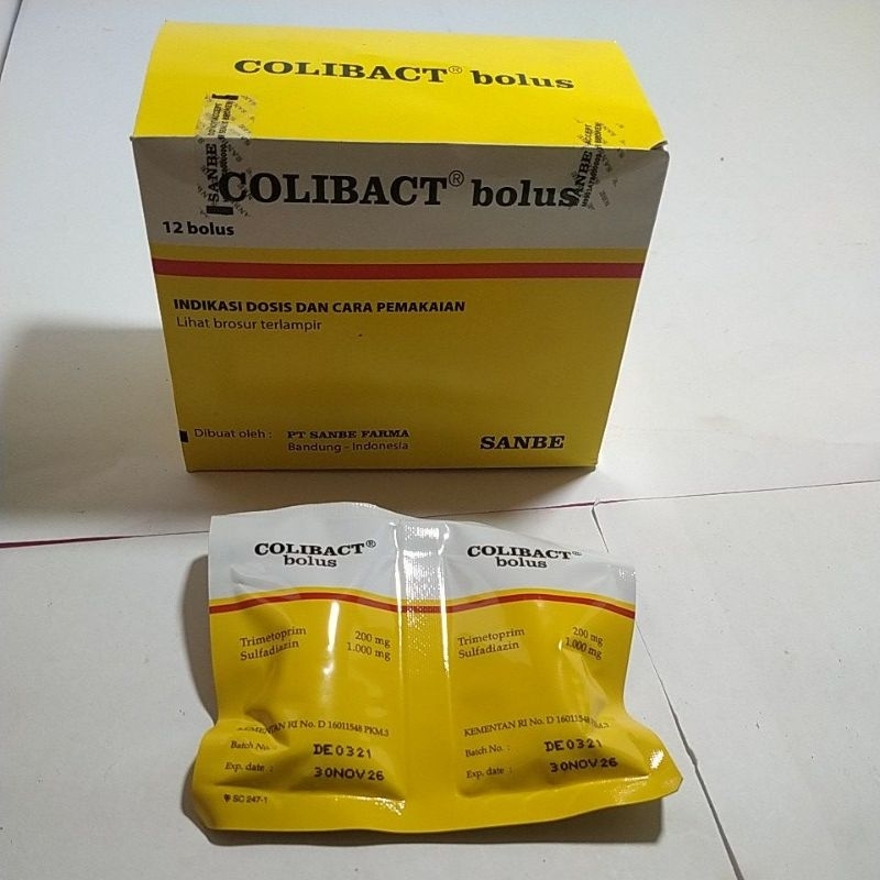Jual COLIBACT BOLUS SANBE FARMA (1 SACHET 2 BOLUS) | Shopee Indonesia