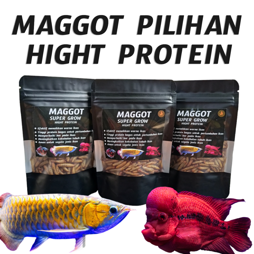 Jual PROMO MAGGOT KERING PAKAN IKAN DAN KURA-KURA UNTUK WARNA ...