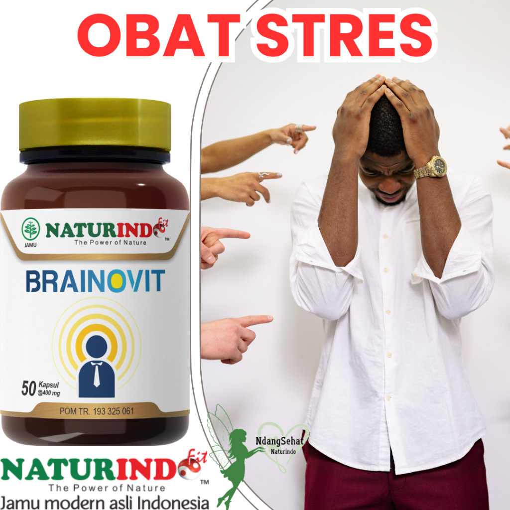 Jual Obat Stres Anti Depresan Konsentrasi Daya Ingat Jamu Brainovit ...