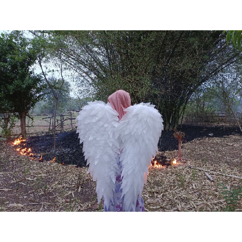 Jual Sayap peri/sayap cosplay/sayap malaikat murah | Shopee Indonesia