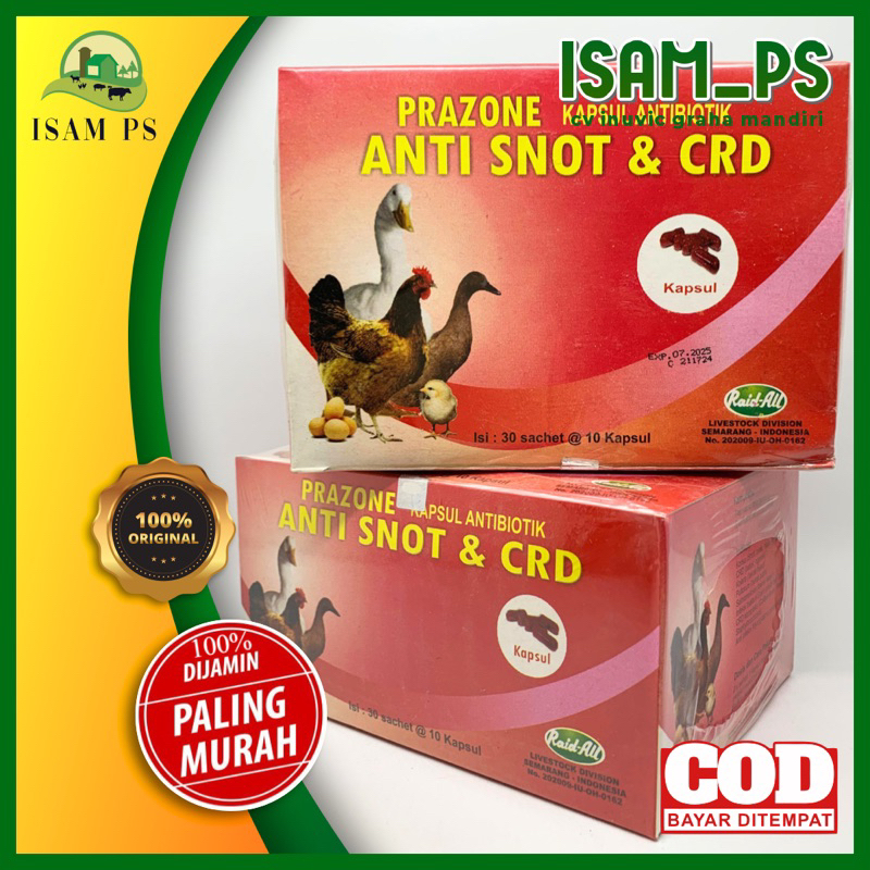 Jual PRAZONE ANTI SNOT DAN CRD KAPSUL 1 KOTAK | Shopee Indonesia