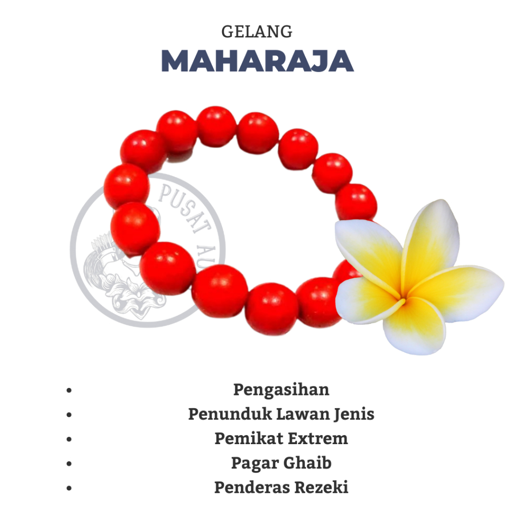 Jual Gelang Biji Gebang Merah - Simbol Kewibawaan Dan Daya Tarik ...