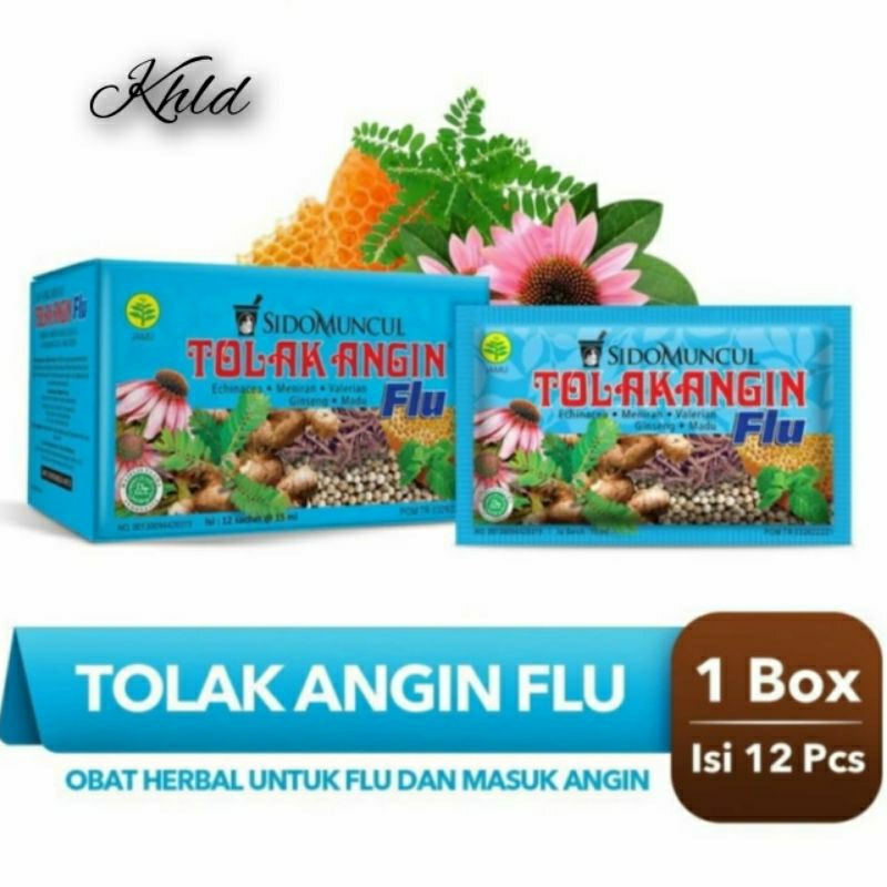 Jual Tolak Angin Flu 1 box 12 Sachet 15 ml Obat Herbal Untuk Flu Dan ...