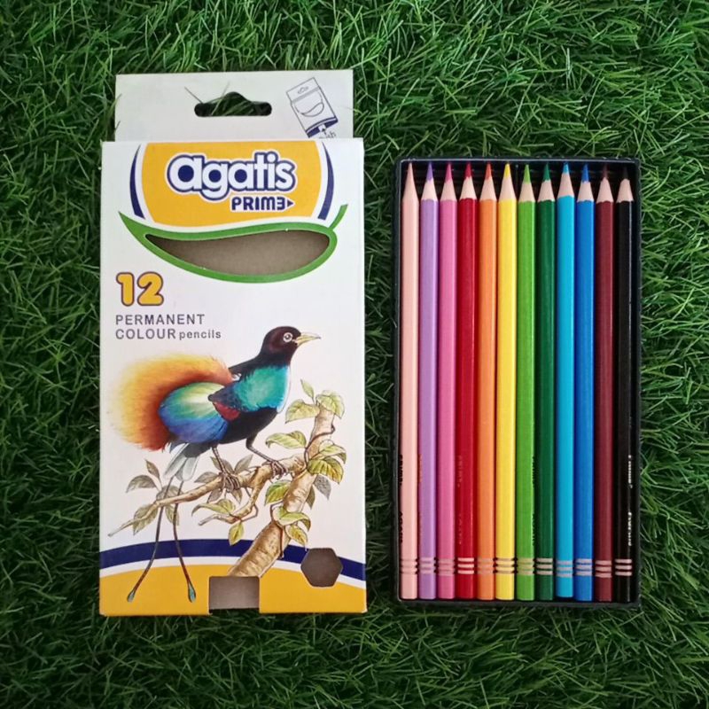 Jual Pensil Warna 12L Agatis Prime Permanent Colour (MAS36210001T ...