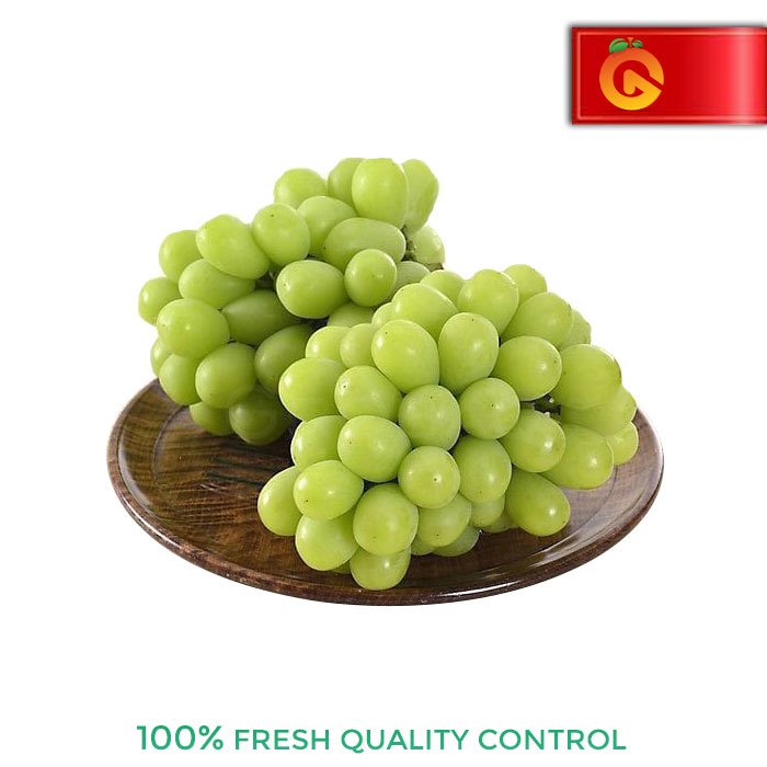 Jual BUAH ANGGUR HIJAU MUSCAT FRESH 500 GRAM | Shopee Indonesia