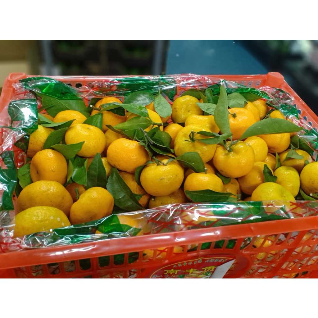 Jual Jeruk Shantang Birma (KG) | Shopee Indonesia