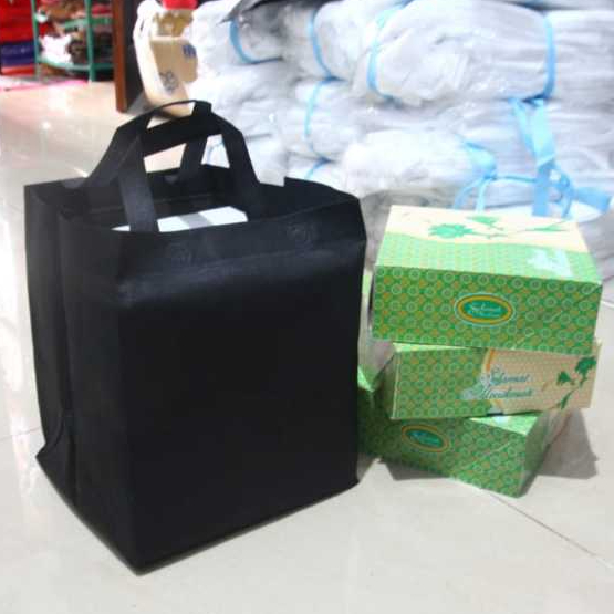 Jual TAS SPUNBOND BOX NASI BERKAT TAS NASI BOX SPUNBOND P24 X L22 X T28 TAS BINGKISAN KADO ...