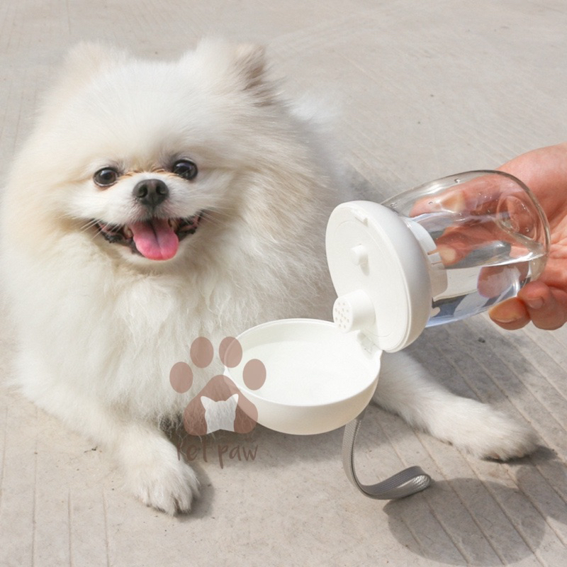 Jual Botol Minum Tumblr Anjing Kucing Pet Mushroom Bottle Travelling ...