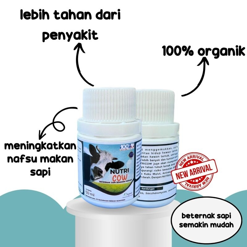 Jual 1 Pcs nutriCow NUTRISI PROBIOTIK SAPI NUTRISI KAMBING OBAT SAPI ...