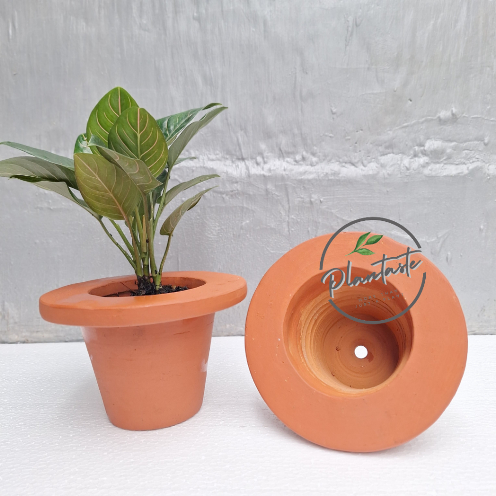 Jual Pot Gerabah Topsky Tipe 1| Pot Gerabah Terracota | D21 T13 ...