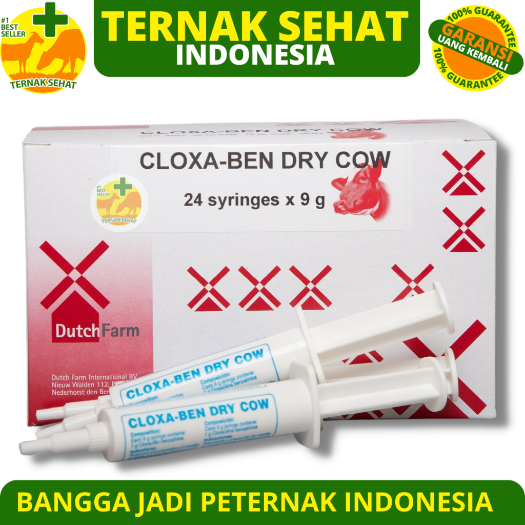 Jual CLOXA BEN DRY COW 1 PCS - Obat Mastitis Ternak Sapi Kambing Perah ...