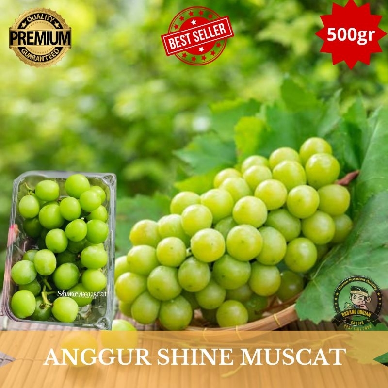 Jual ANGGUR SHINE MUSCAT 500GR FRESH MANIS GARING DAN JIUCY | Shopee ...