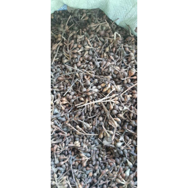 Jual Ceplik sari | ceplikan 100 gram | Shopee Indonesia