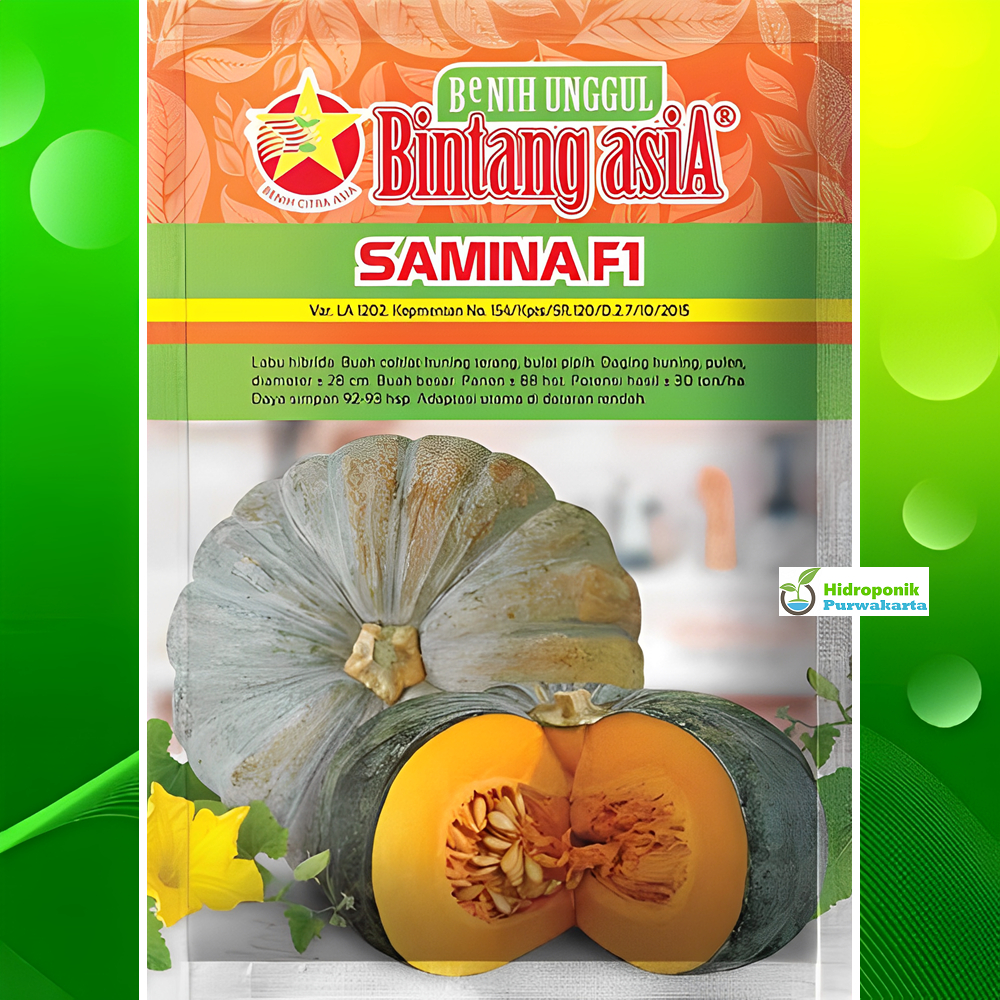 Jual Benih Labu SAMINA F1 10 Gram Cap Bintang Asia PT Benih Citra Asia ...