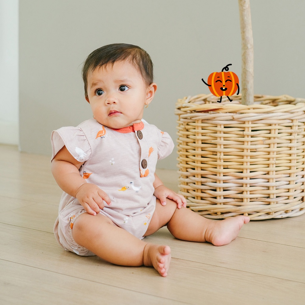 Jual KABOCHAN - Zoe Jumper "Meadow Valley" 6 Bulan - 2 Tahun | Shopee ...