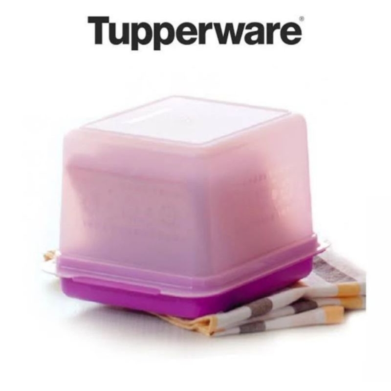 Jual Tempat Roti Tawar Tupperware | Shopee Indonesia