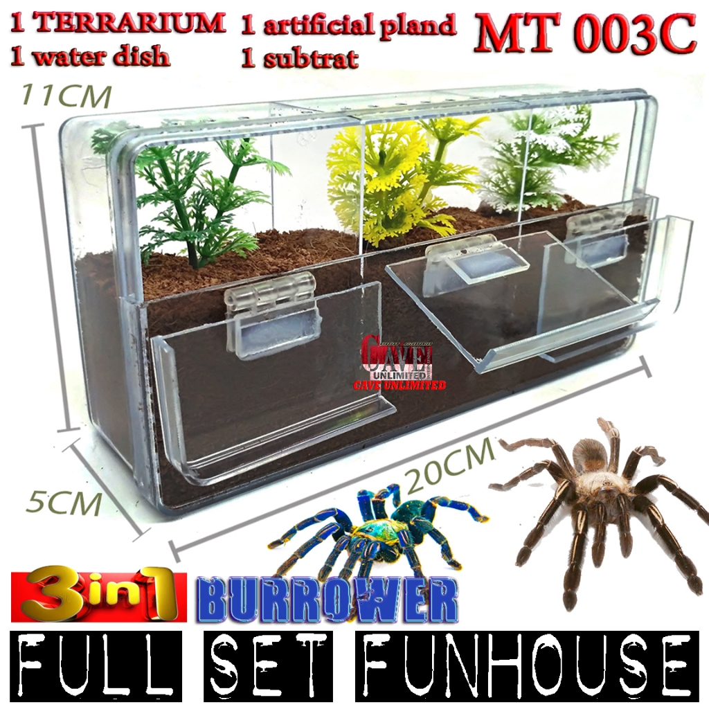 Jual MT003C PAKET ENCLOSURE MINI KANDANG TARANTULA KALAJENGKING FUN HOUSE FULL SET TERRARIUM ...