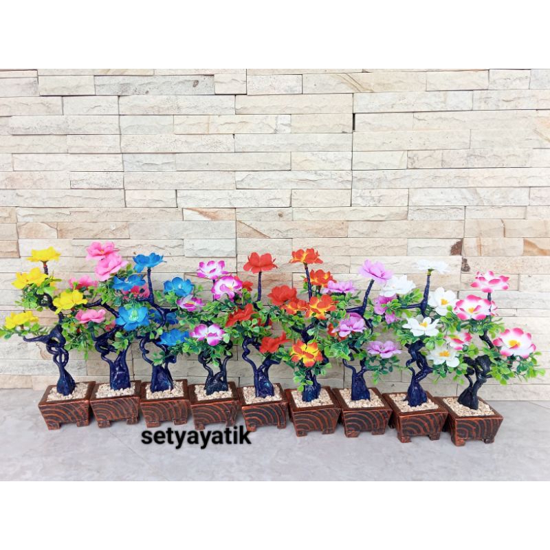 Jual bunga semanggi mini | Shopee Indonesia