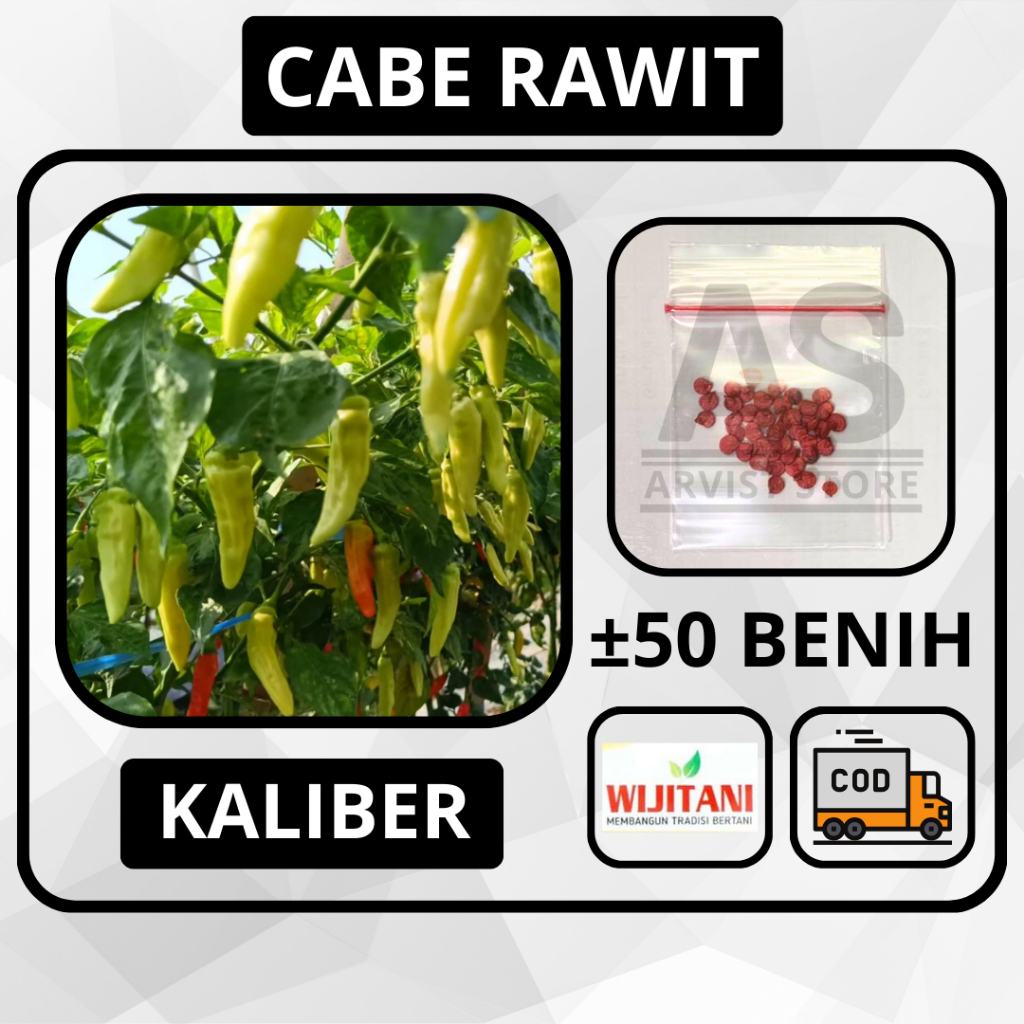 Jual ±50 Butir – Benih CABE RAWIT KALIBER Cabai Wiji Tani Lombok Bibit ...